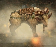 Pack Rams | Arcane Lore Wiki | Fandom