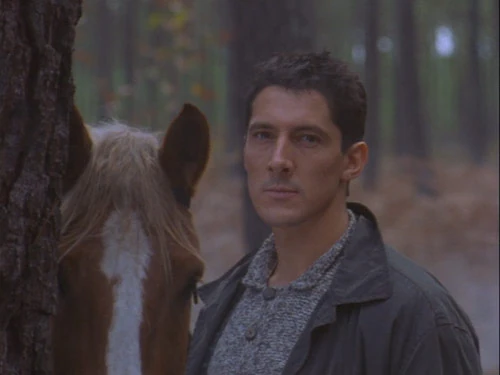 Methos | Highlander Wiki | Fandom