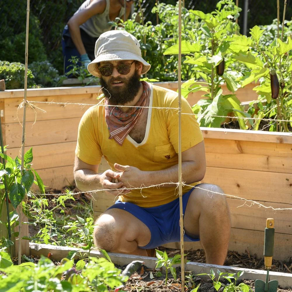 Screen (episode) | High Maintenance Wikia | Fandom