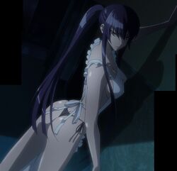 Highschool Of The Dead Saeko Bikini