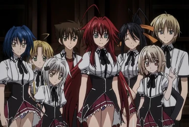 Akeno Himejima High School Dxd Wiki Fandom Powered By Wikia