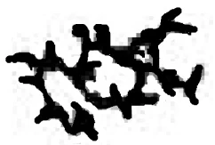 Holy Symbol | Highseas Wiki | Fandom