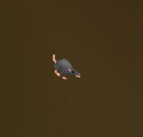 Rat | HighSpell Wiki | Fandom