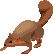 Squirrel | HighSpell Wiki | Fandom