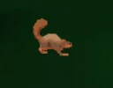 Big Squirrel | HighSpell Wiki | Fandom