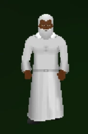 Sage | HighSpell Wiki | Fandom