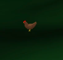 Rooster | HighSpell Wiki | Fandom