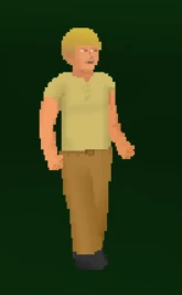 Peer | HighSpell Wiki | Fandom