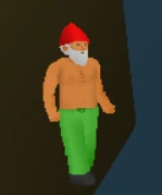 Beach Gnome | HighSpell Wiki | Fandom