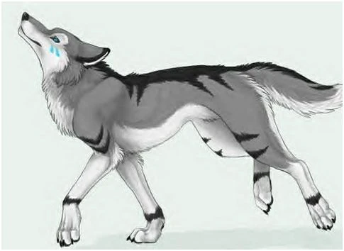 Jerry | Hikipedia Wiki | Fandom