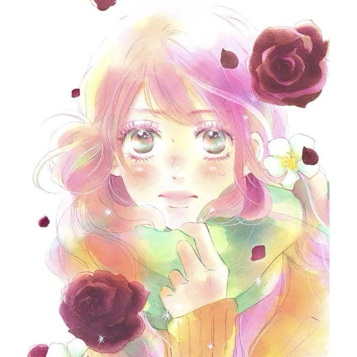 Shell | Hikipedia Wiki | Fandom