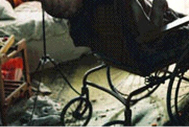 Hills Have Eyes Lizard Brenda