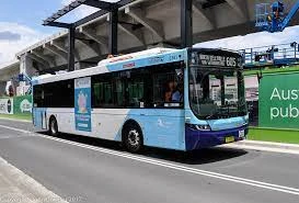 Hillsbus Route 605 | Hillsbus Wiki | Fandom