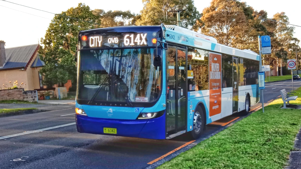 Hillsbus Route 614X | Hillsbus Wiki | Fandom