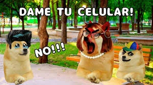 Niño con derecho quiere robar mi celular y termina en el hospital | Wiki Hilos con Cheems | Fandom