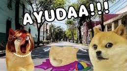 Madre con derecho mata a su hijo | Wiki Hilos con Cheems | Fandom