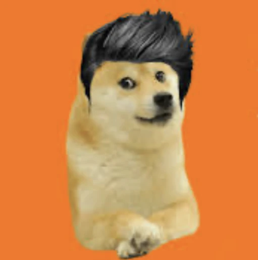 Hilos ZC | Wiki Hilos con Cheems | Fandom