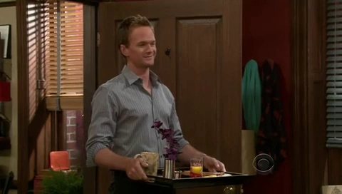 Robin 101 | How I Met Your Mother Wiki | Fandom