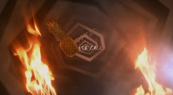 Himym The Pineapple Theory