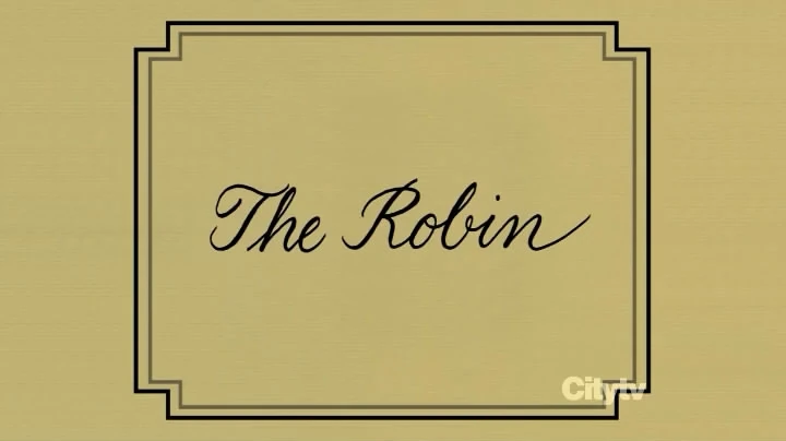 The Robin | How I Met Your Mother Wiki | Fandom