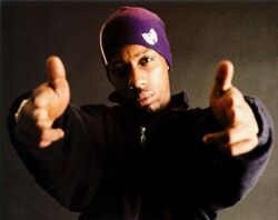 Inspectah Deck | Hip Hop Wiki | Fandom
