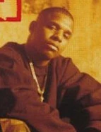 Teflon | Hip Hop Wiki | Fandom