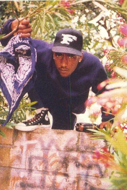 Broncoe | Hip Hop Wiki | Fandom