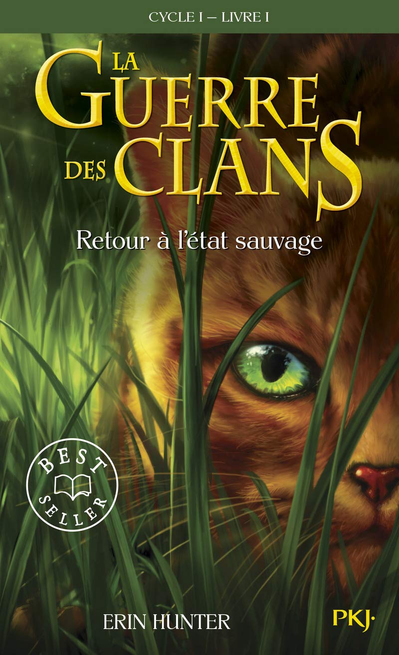 La Guerre Des Clans Wiki Nos Imaginations Fandom