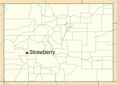 Strawberry | Histor-Fiction Wiki | Fandom