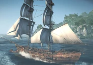 Jackdaw | Histor-Fiction Wiki | Fandom