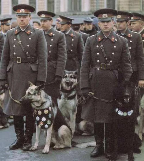Militsiya | Histor-Fiction Wiki | Fandom