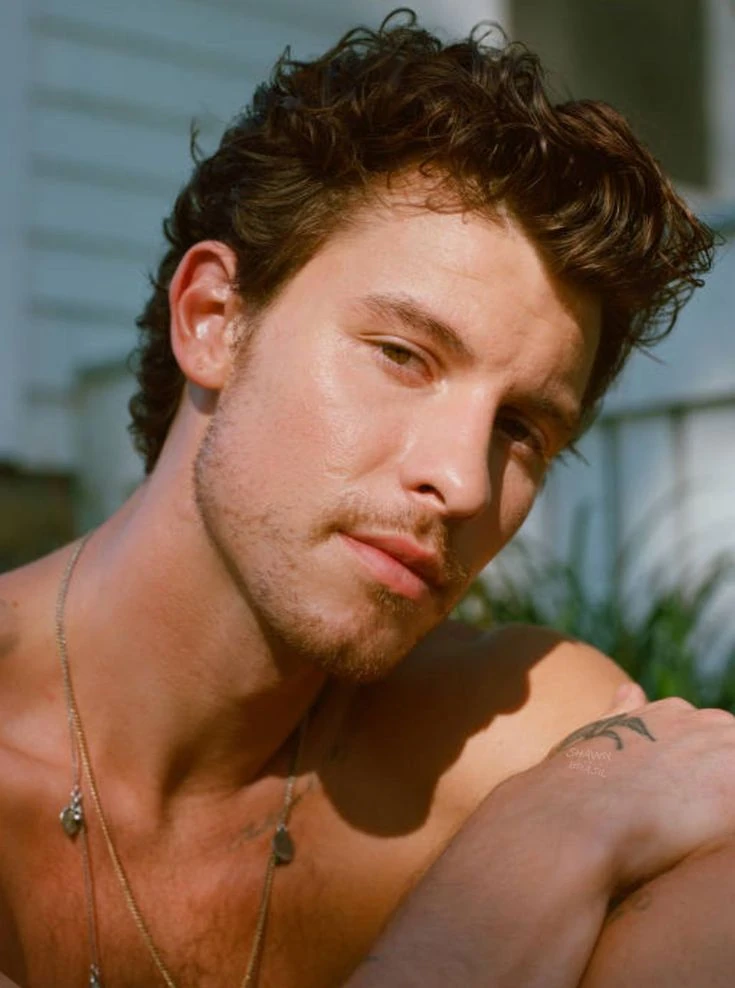 Shawn Mendes | História da Kika Ferry Wiki | Fandom