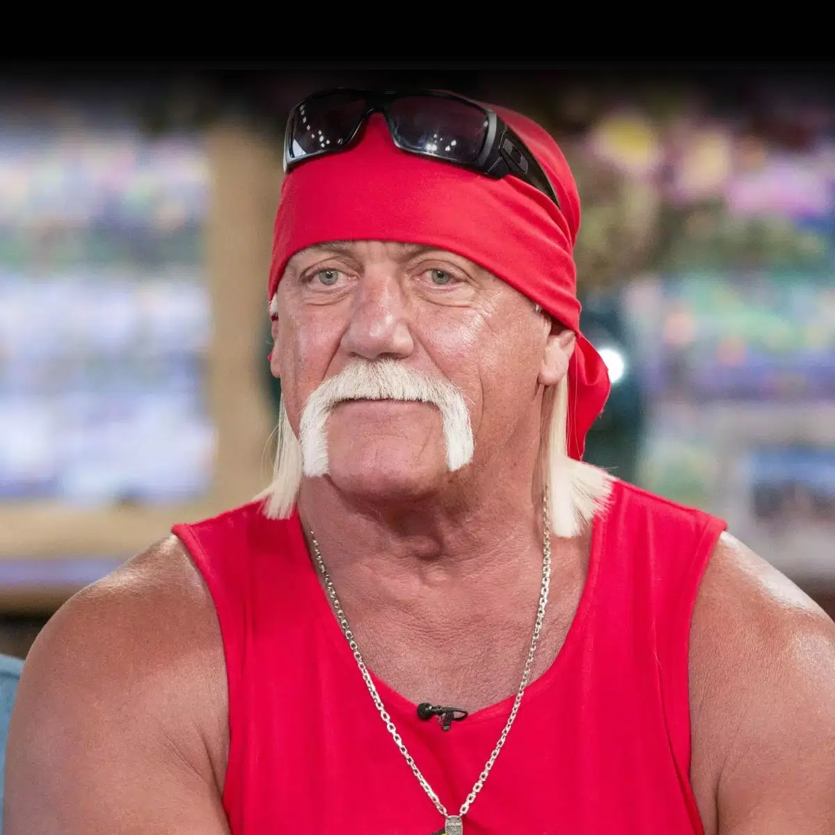 Hulk Hogan | Historical Figures and Celebrity Wiki | Fandom