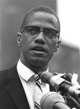 Malcolm X | Historical Figures and Celebrity Wiki | Fandom