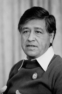 Cesar Chavez | Historical figures in Media Wiki | Fandom