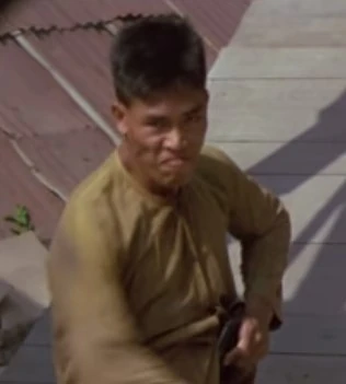 NVA Soldier | Historical films Wiki | Fandom