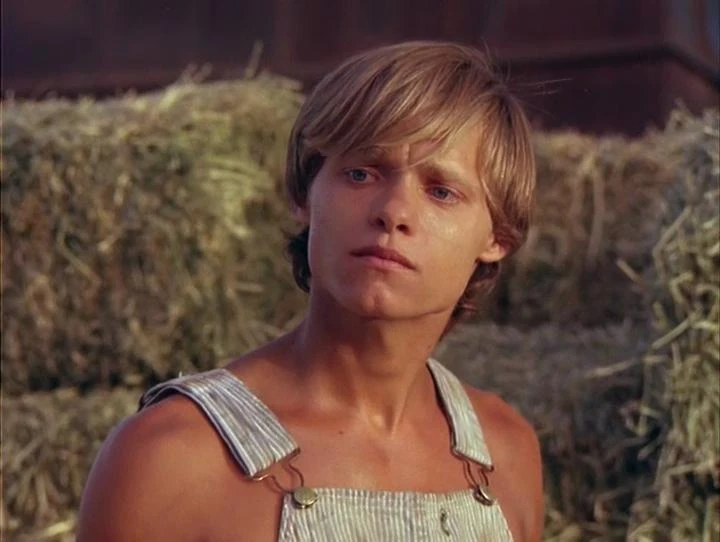 Ray Tison | Historical films Wiki | Fandom