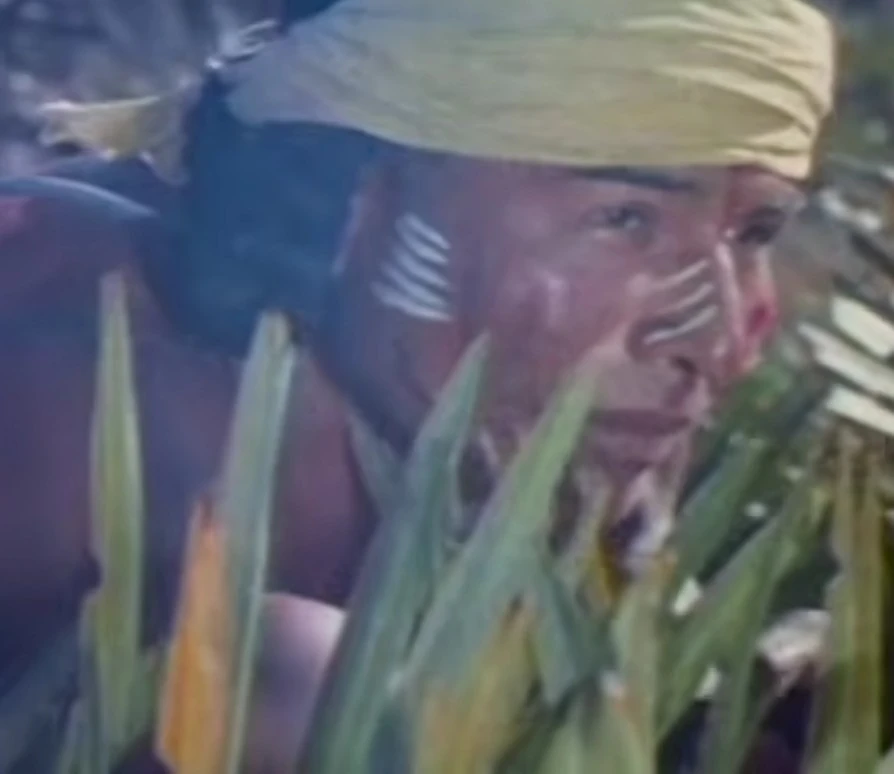 Seminole Indian | Historical films Wiki | Fandom