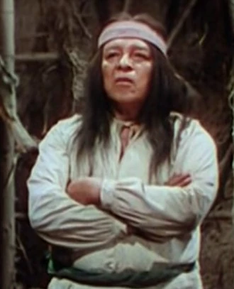 Chi | Historical films Wiki | Fandom