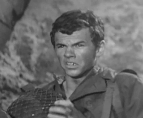 Young G.I. | Historical films Wiki | Fandom