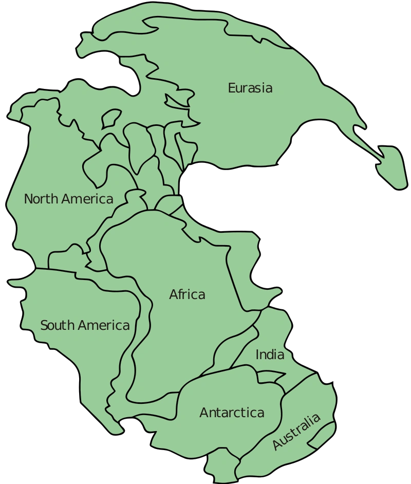 Pangaea | Historypedia the worlds history Wiki | Fandom