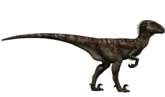 Utahraptor | History Channel Wiki | Fandom