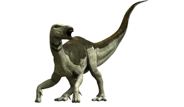 Tenontosaurus | History Channel Wiki | Fandom