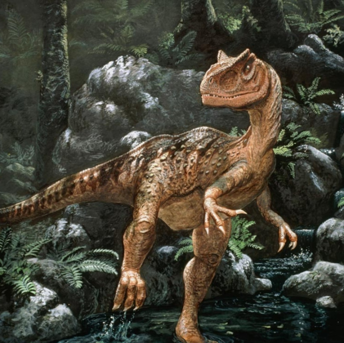 Jurassic Period | History Channel Wiki | Fandom
