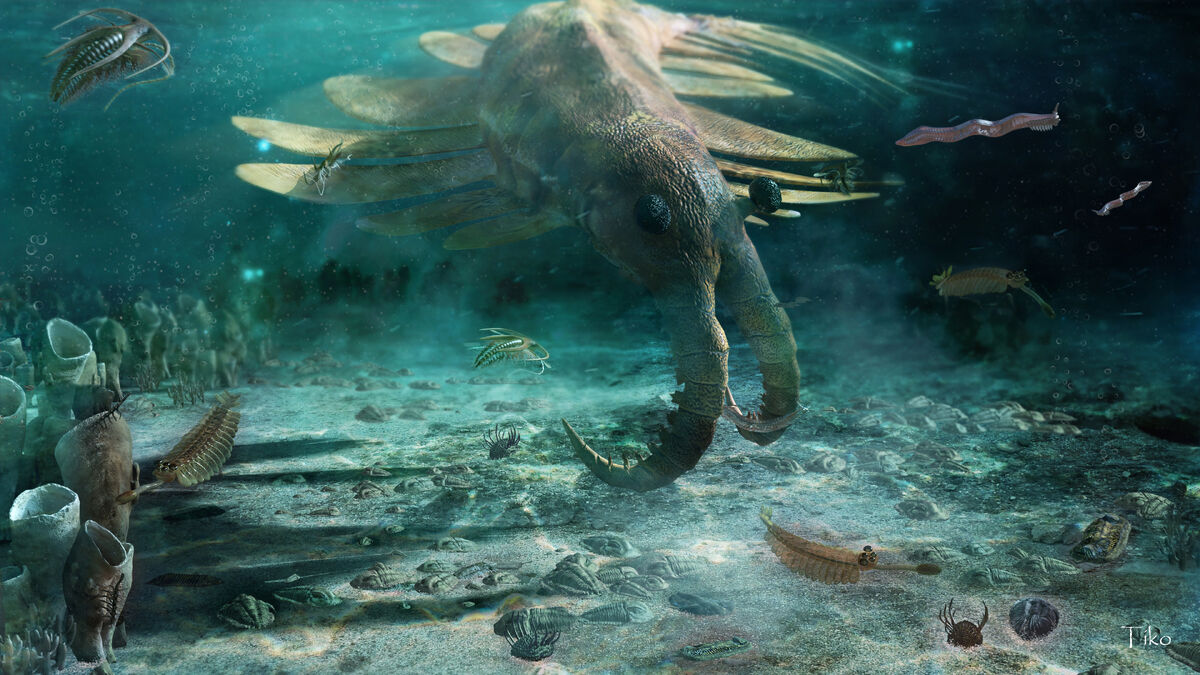 The Cambrian Explosion History Of The Earth Wiki Fandom