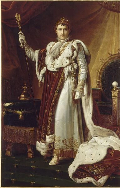 Napoleon Bonaparte | History wiki | Fandom