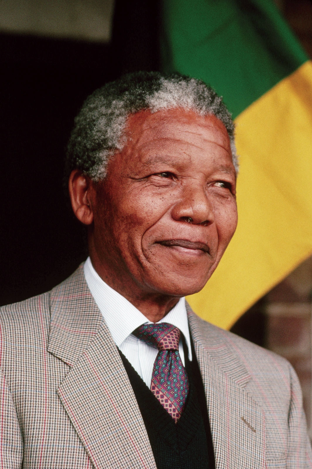 Nelson Mandela | History wiki | Fandom