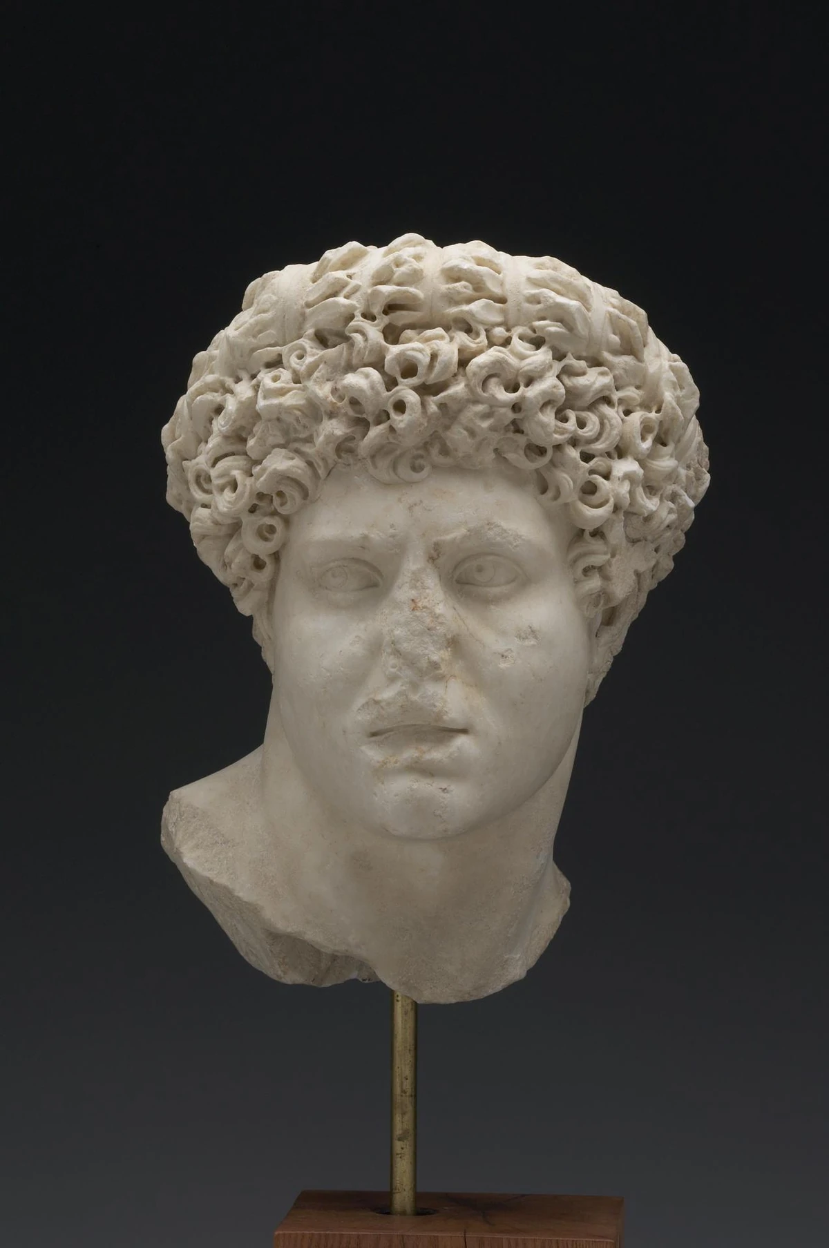 Portrait of a Young Man, Possibly an Olympic Athlete | History 2701 ...
