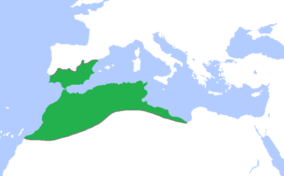 Almohad Caliphate | Wiki Atlas of World History Wiki | Fandom