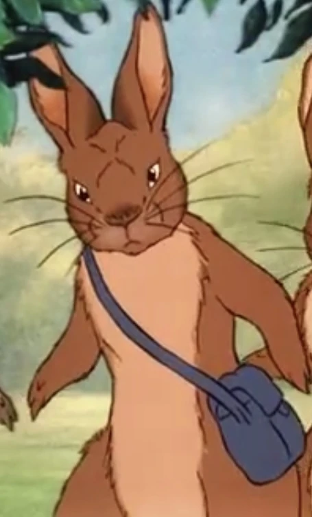 Rabbit 1 | HIT Entertainment Wiki | Fandom